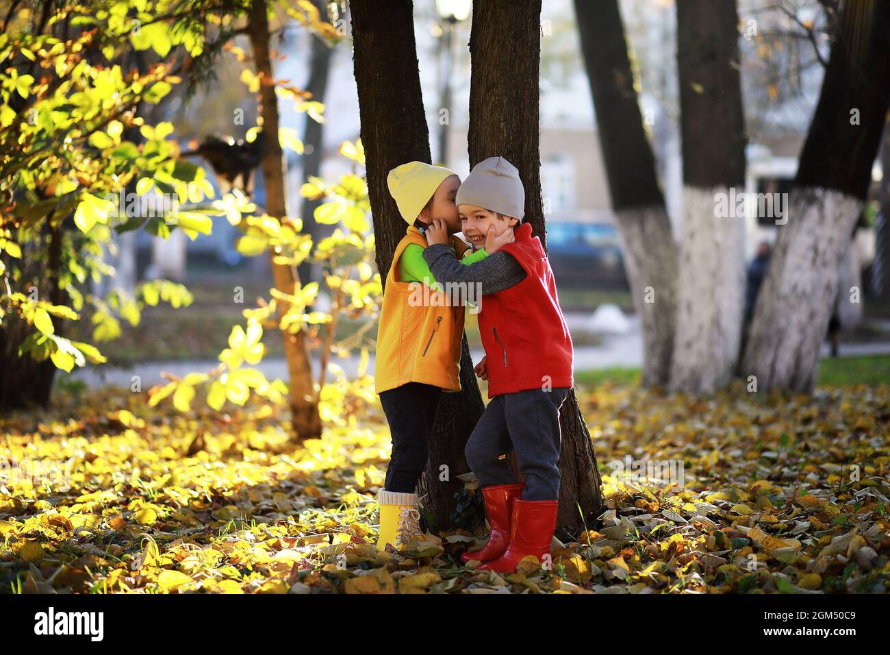Children walk in the autumn park in the fall Stock Photo - Alamy