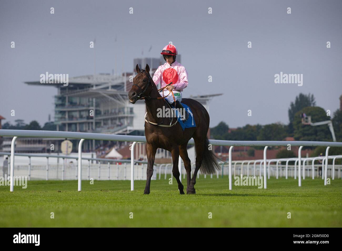 Jockey Jason Hart riding his horse towards the start at York Races ...