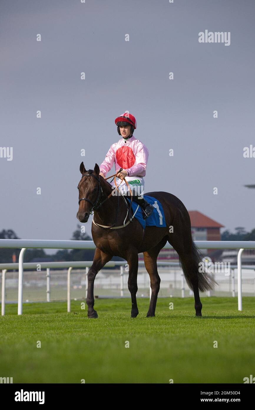 York races jason hart hi-res stock photography and images - Alamy
