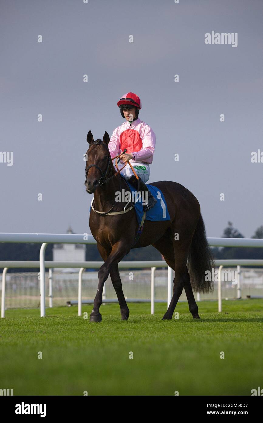 York races jason hart hi-res stock photography and images - Alamy