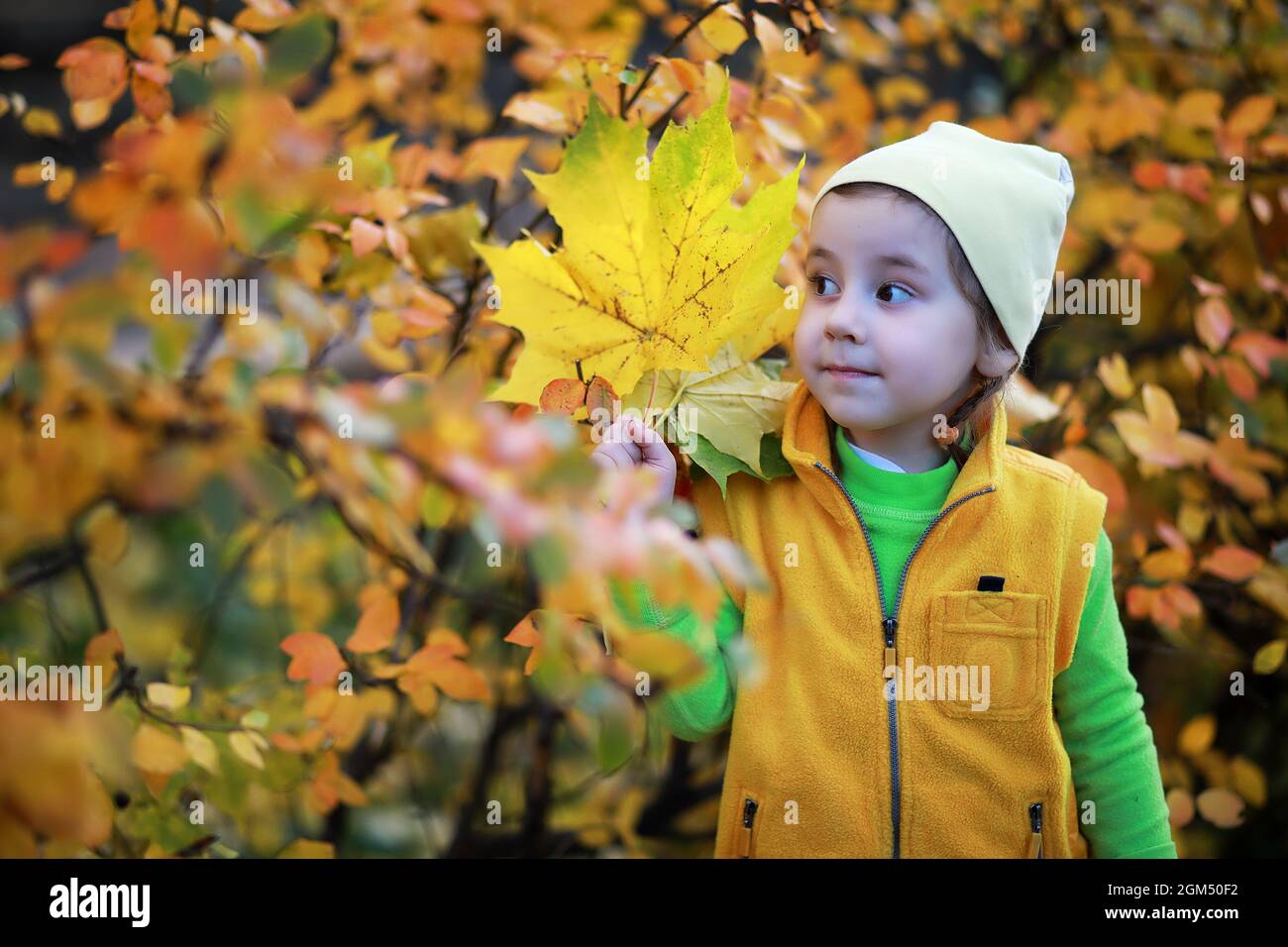 Children walk in the autumn park in the fall Stock Photo - Alamy