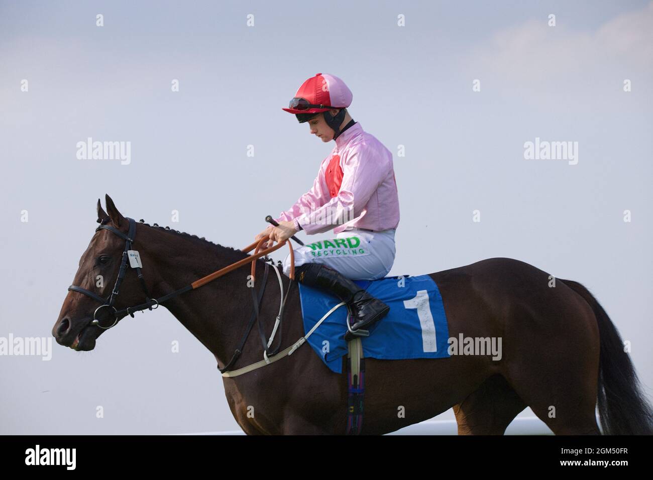 York races jason hart hi-res stock photography and images - Alamy