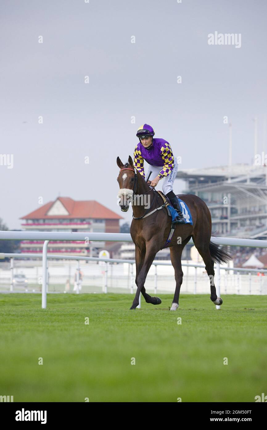 Mister camacho hi-res stock photography and images - Alamy