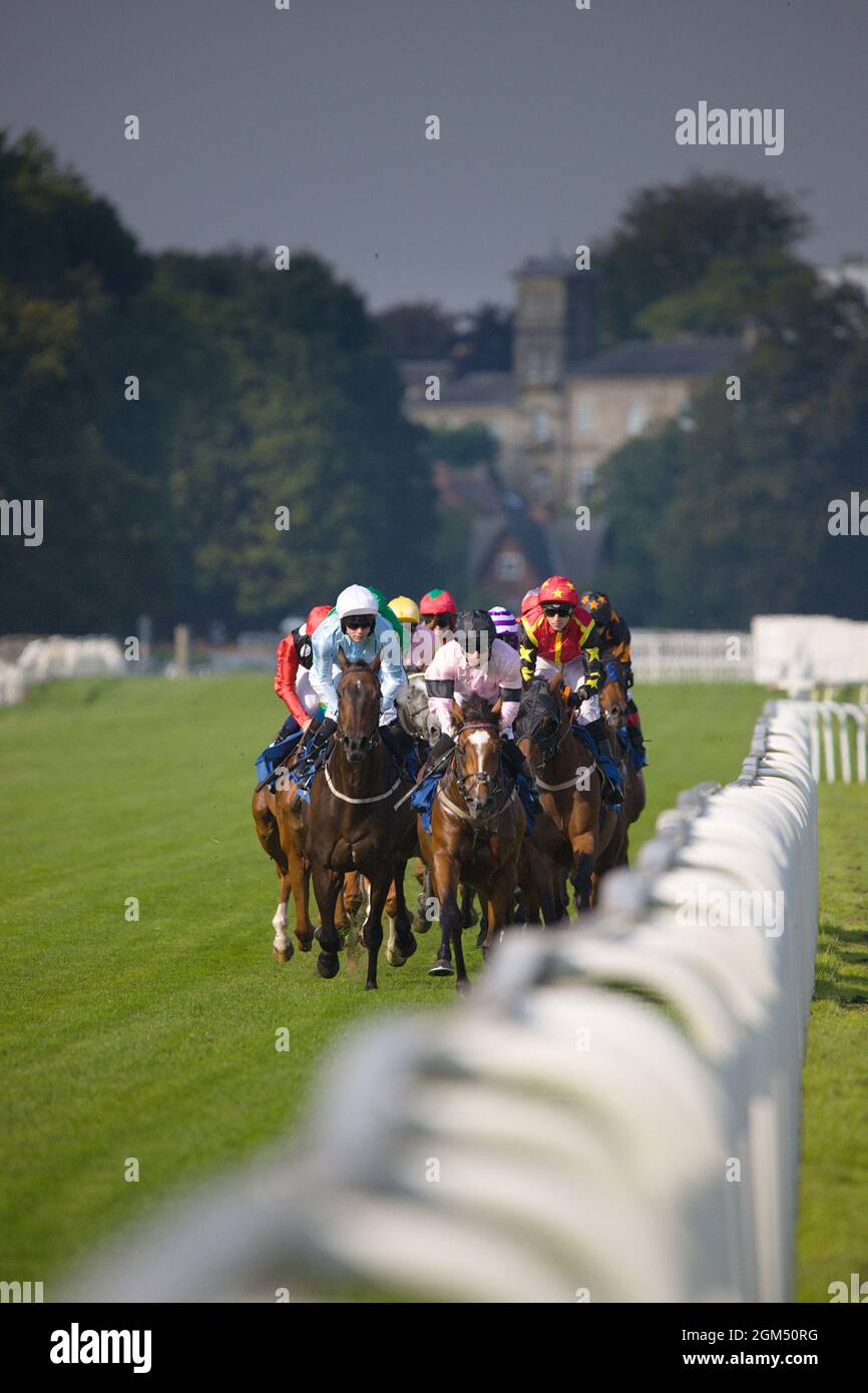 Family group racecourse hi-res stock photography and images - Alamy