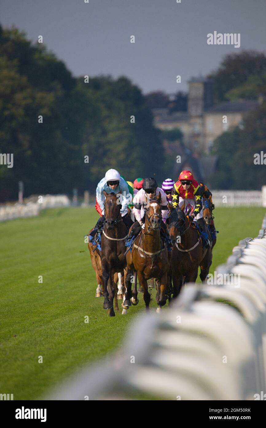 A large group of horses and jockeys riding down the far end of York ...