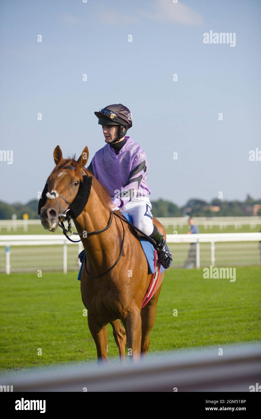Jockey Billy Garritty at the start of a race at York Racecourse Stock ...