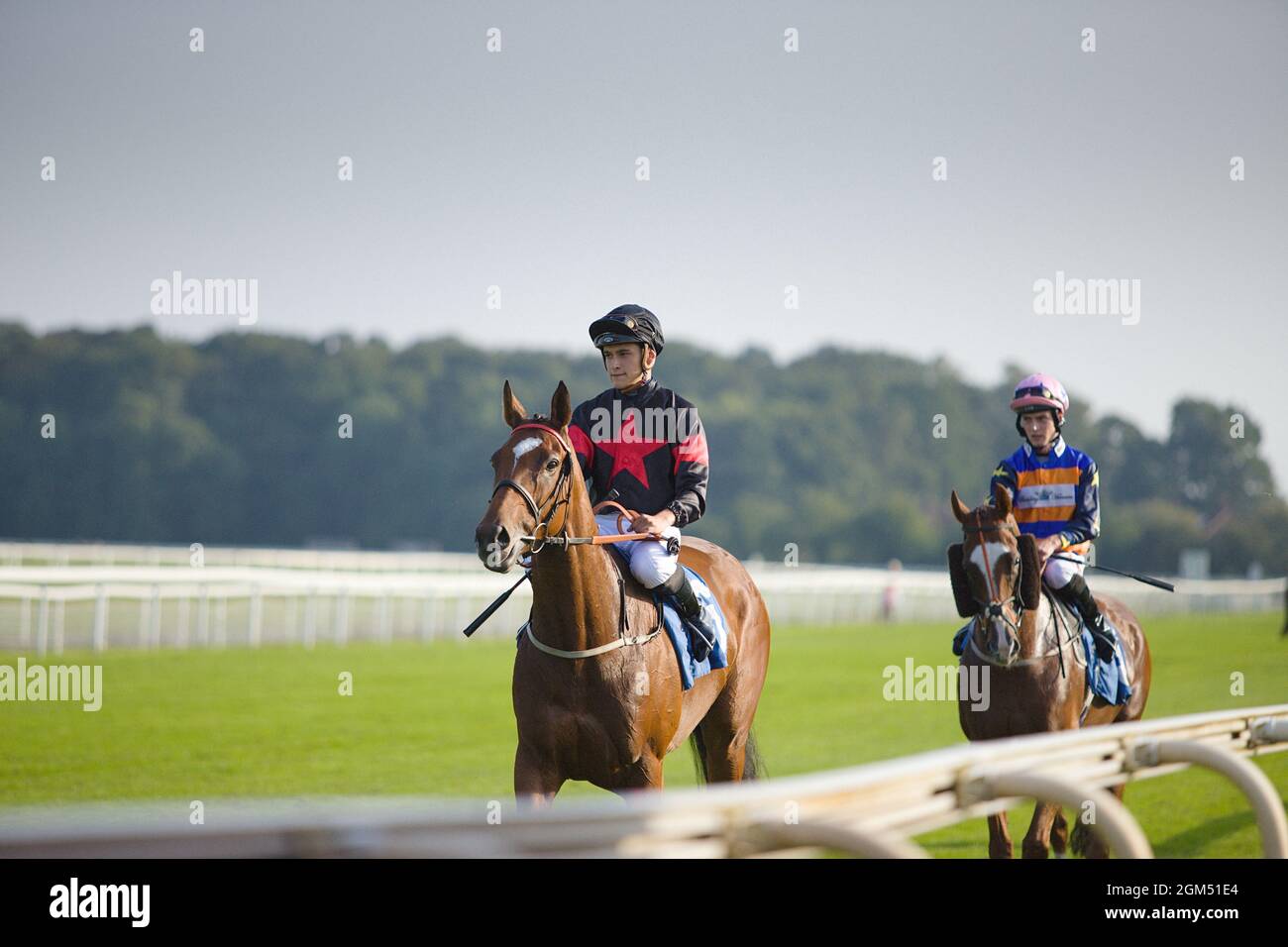 Jockey pierre louis jamin hi-res stock photography and images - Alamy