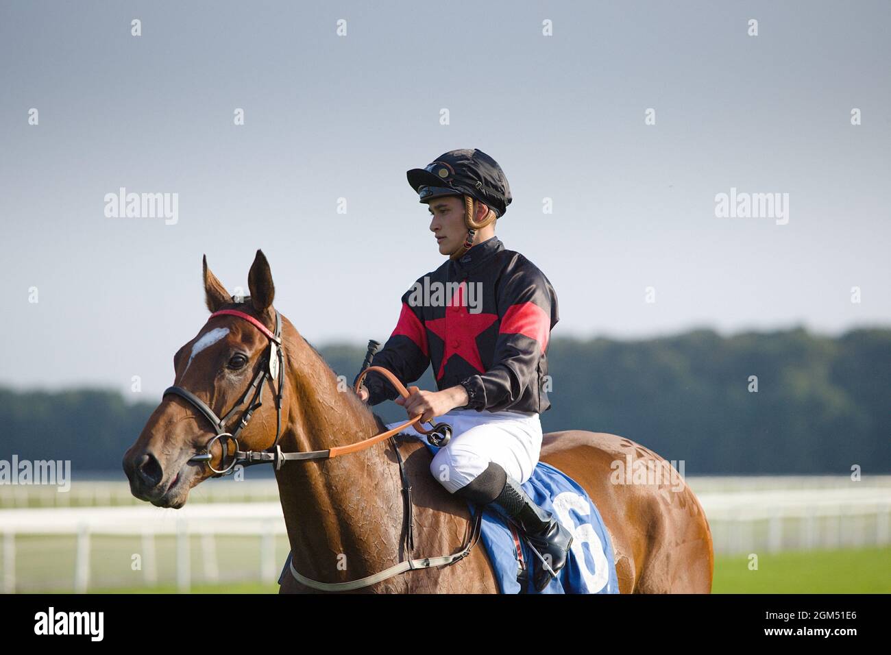 Jockey pierre louis jamin hi-res stock photography and images - Alamy