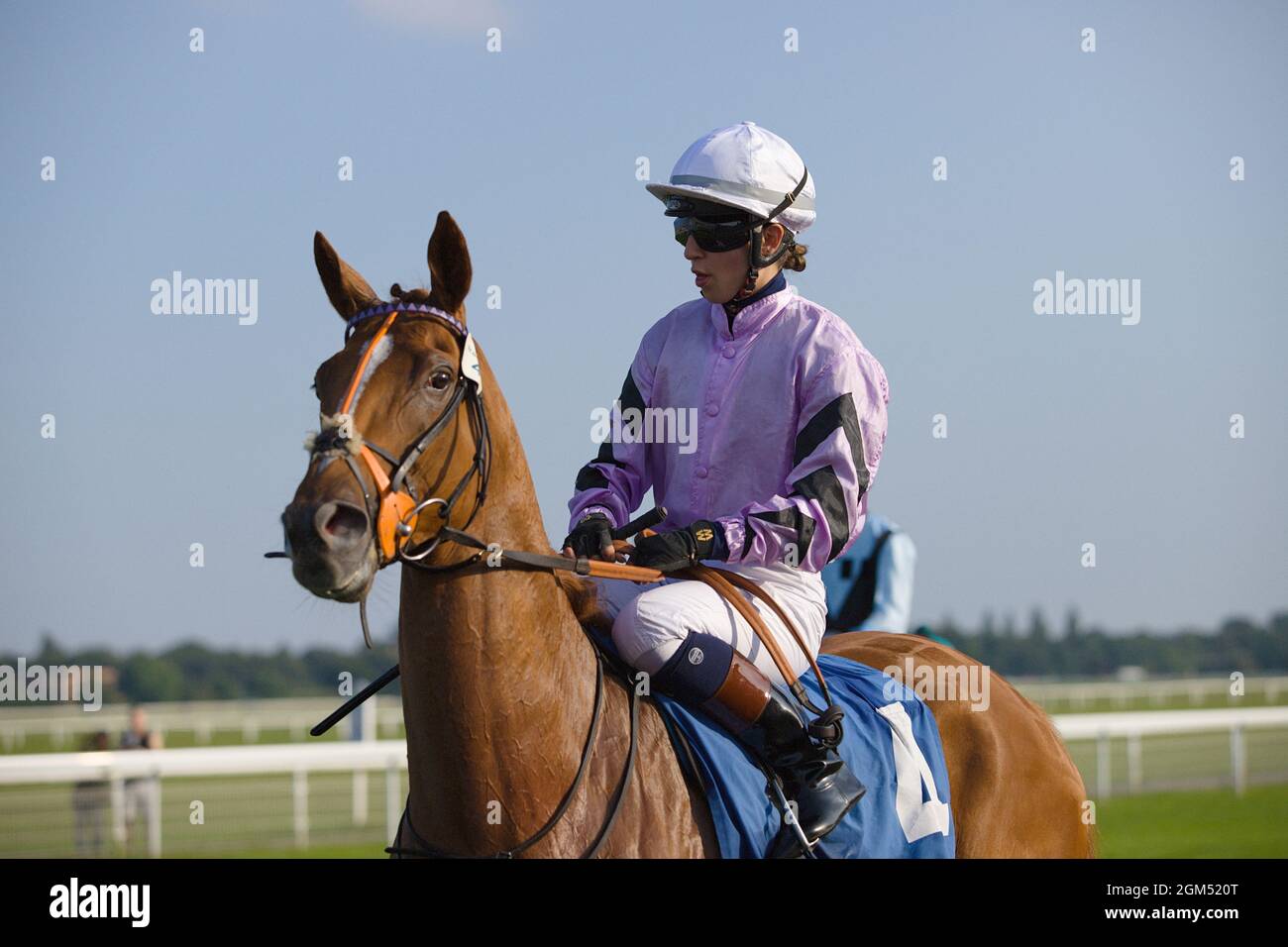 Jockey Morgan Cole at York Races Stock Photo - Alamy