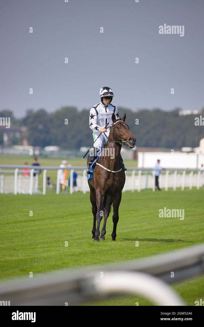 York races jason hart hi-res stock photography and images - Alamy