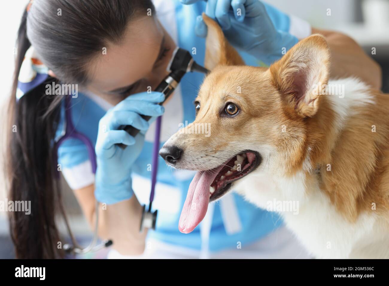 Otoscope For Animals