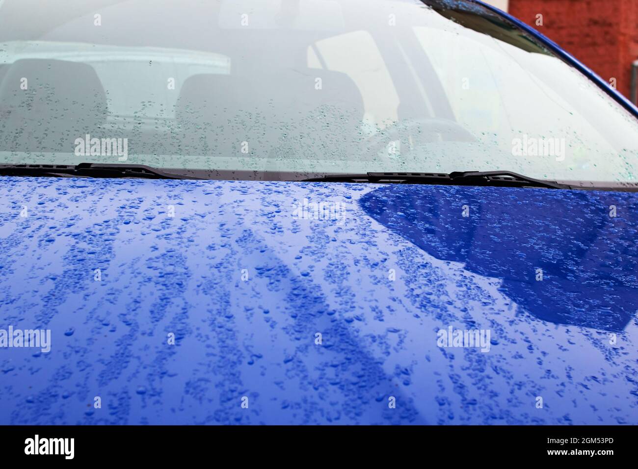 Blue car hood with raindrops close up, autumn Stock Photo - Alamy