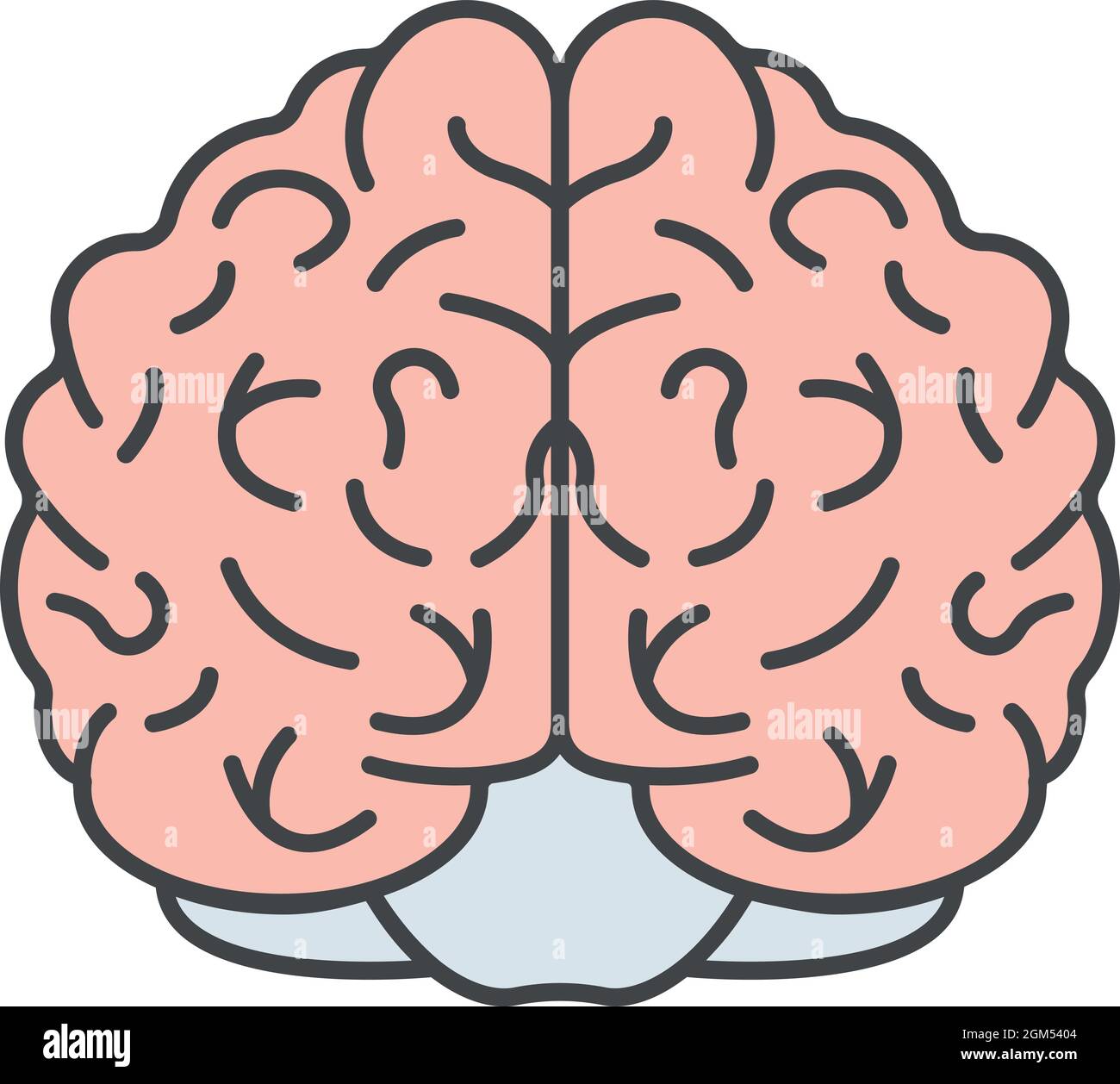 Brain icon. Outline brain vector icon color flat isolated on white ...