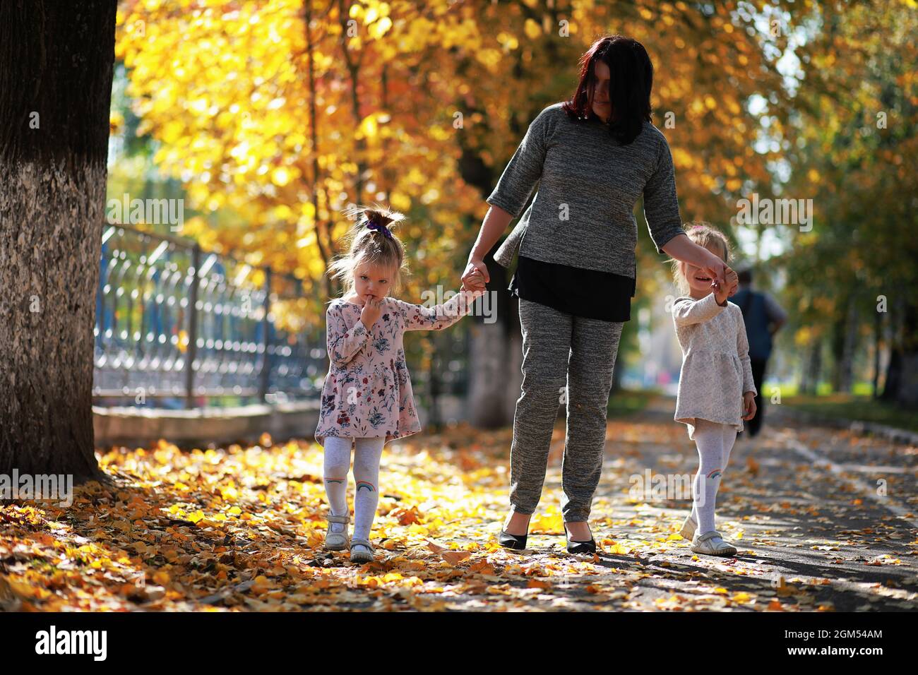 Leaf fall in the park. Children for a walk in the autumn park. Family ...