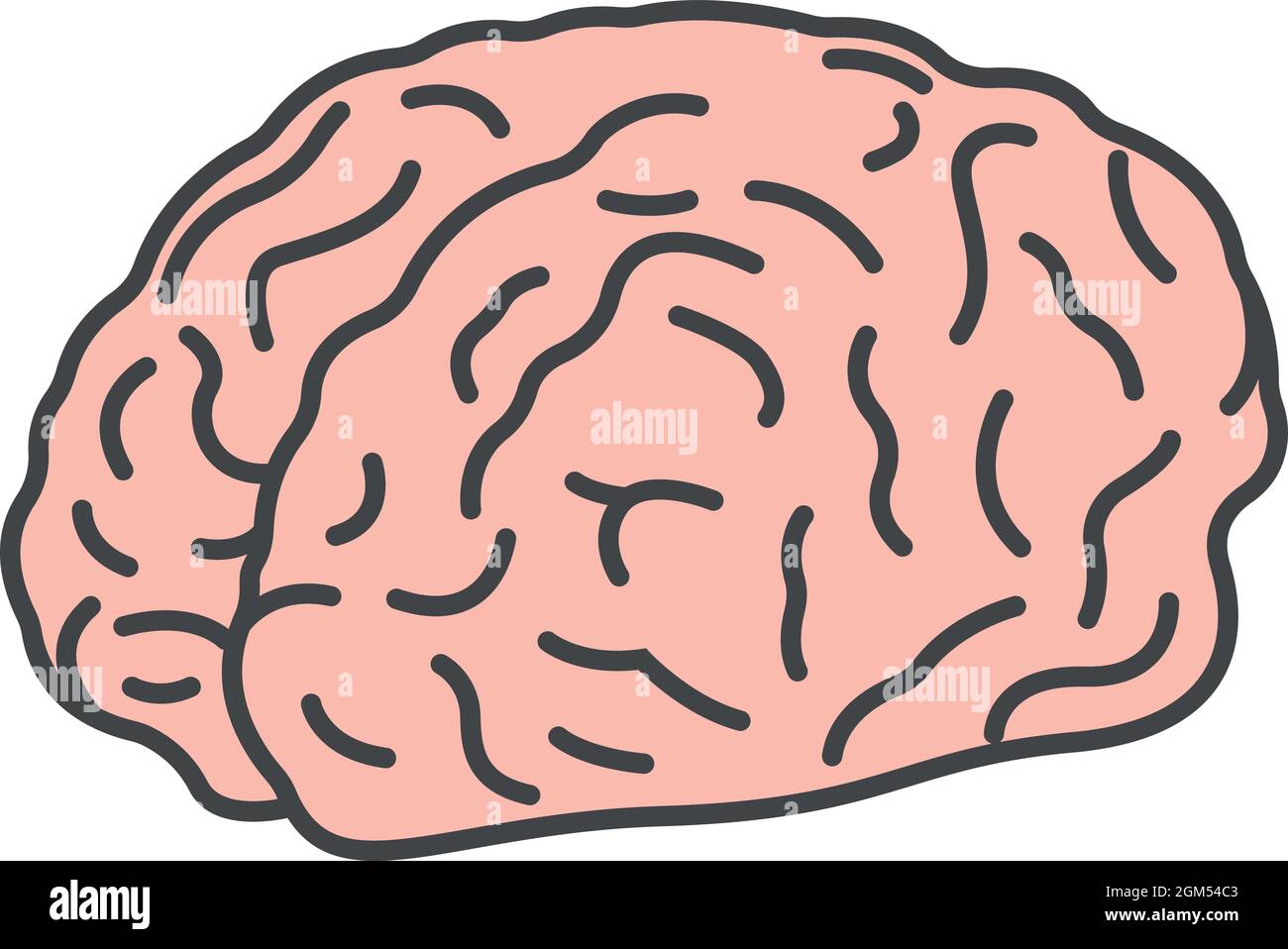 Genius brain icon. Outline genius brain vector icon color flat isolated ...