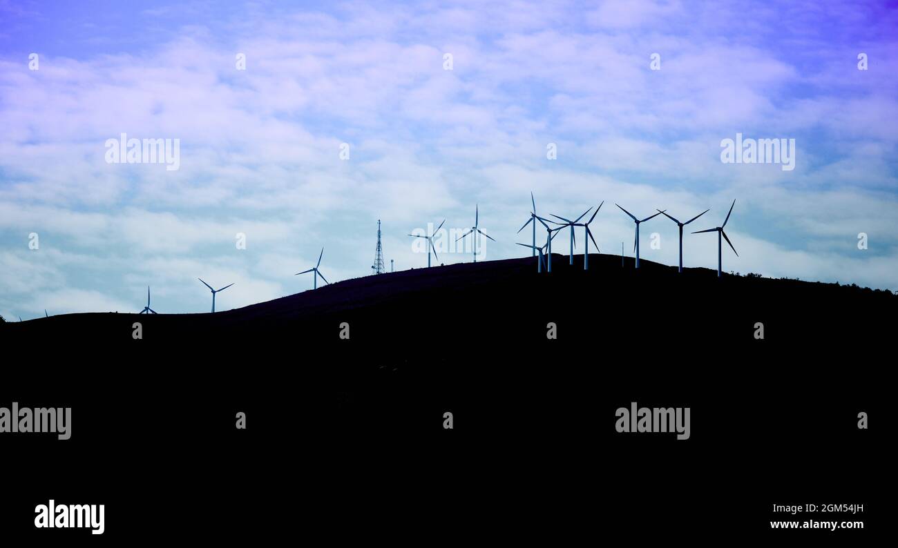 Wallpaper production hi-res stock photography and images - Alamy