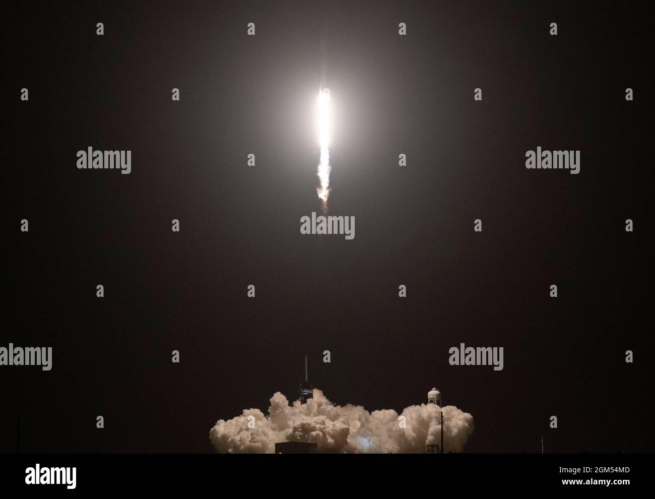 Resilience capsule hi-res stock photography and images - Alamy