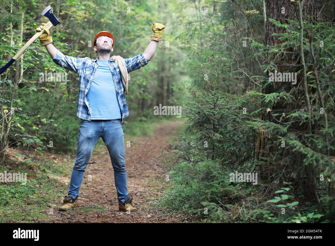 Male lumberjack in the forest. Professional woodcutter inspects trees ...