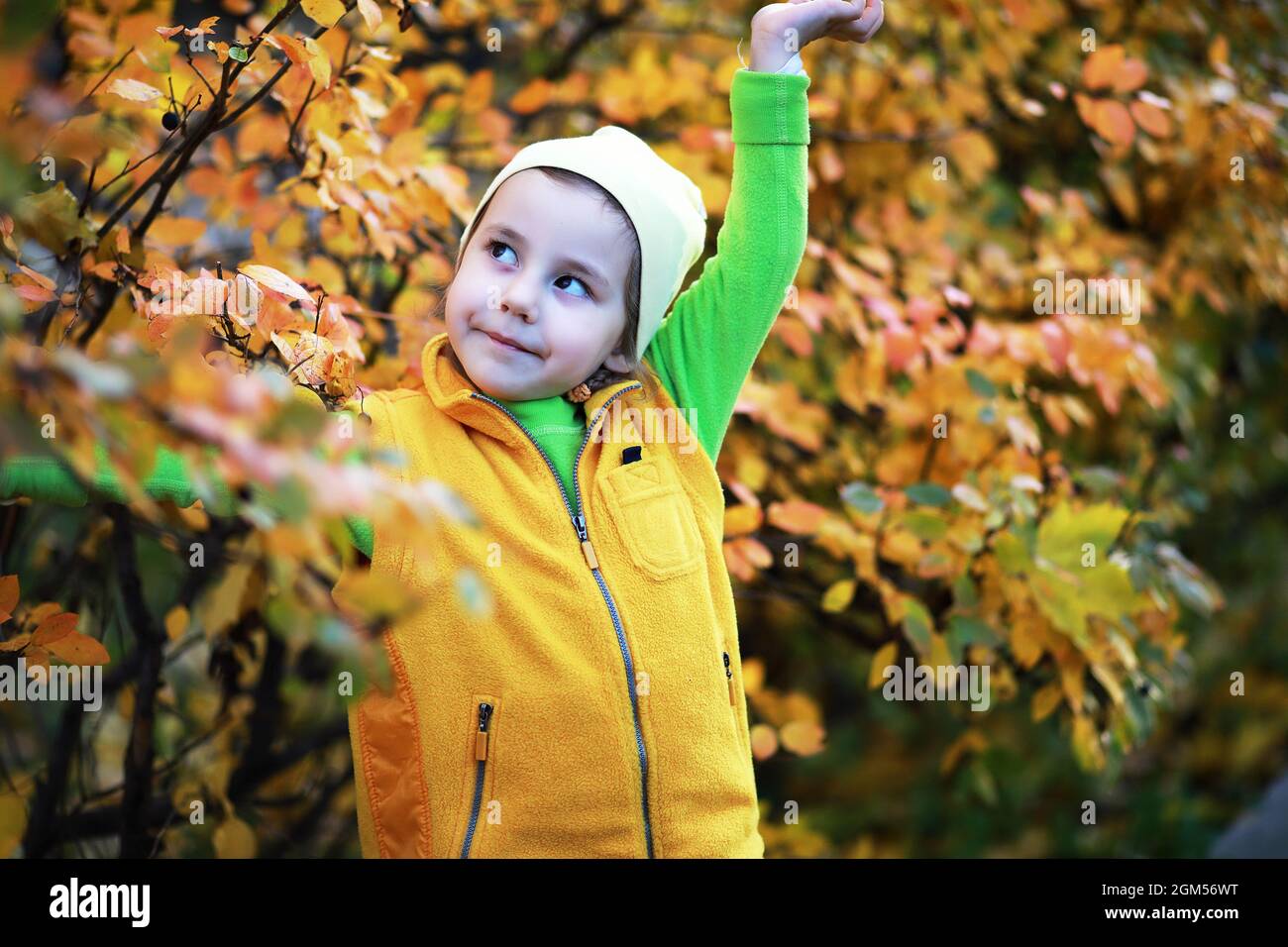 Children walk in the autumn park in the fall Stock Photo - Alamy