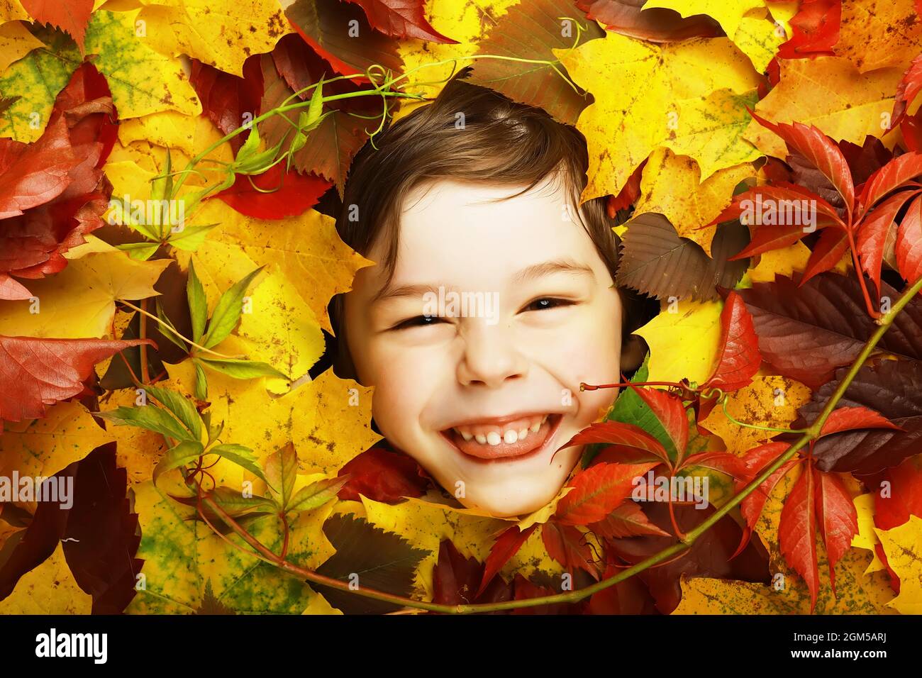 Artistic conceptual autumn boy portrait. Colorful leaves. Leaves of ...