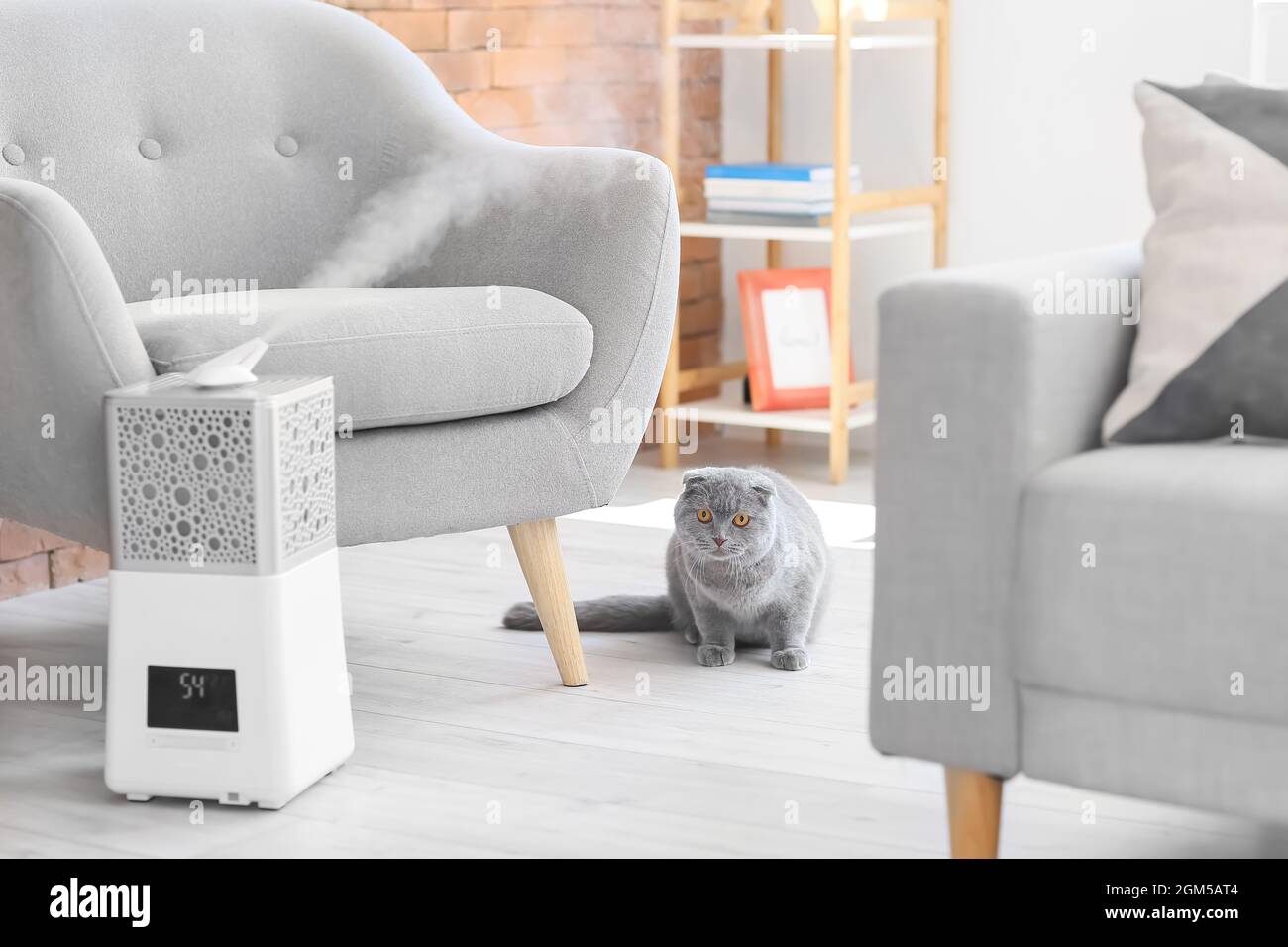 Cute cat in room with modern humidifier Stock Photo - Alamy