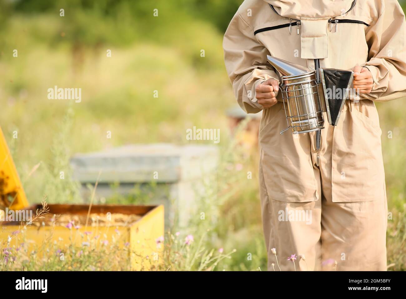 Female beekeeper with smoker at apiary Stock Photo - Alamy