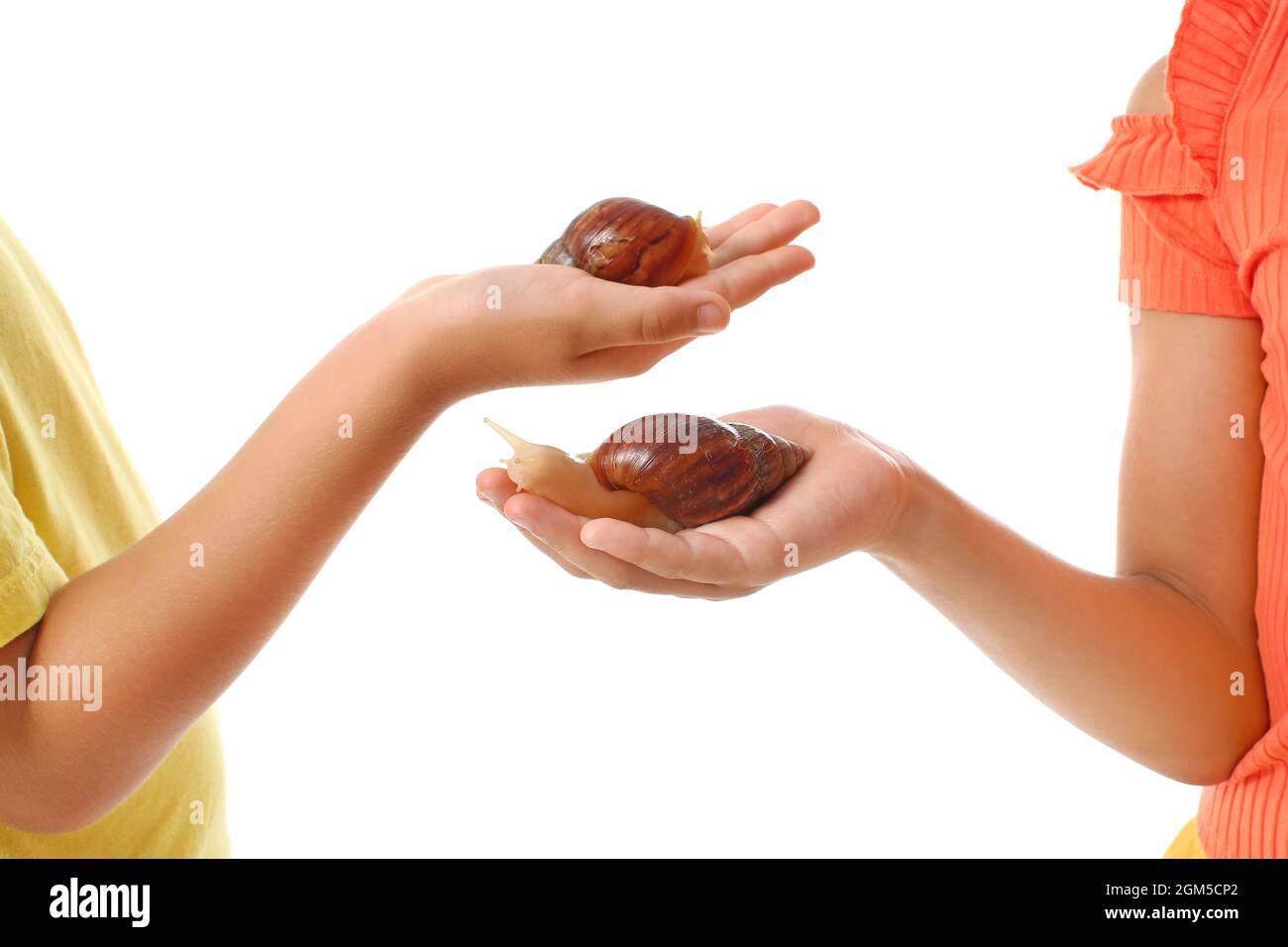 Cute little children with snails on white background Stock Photo - Alamy