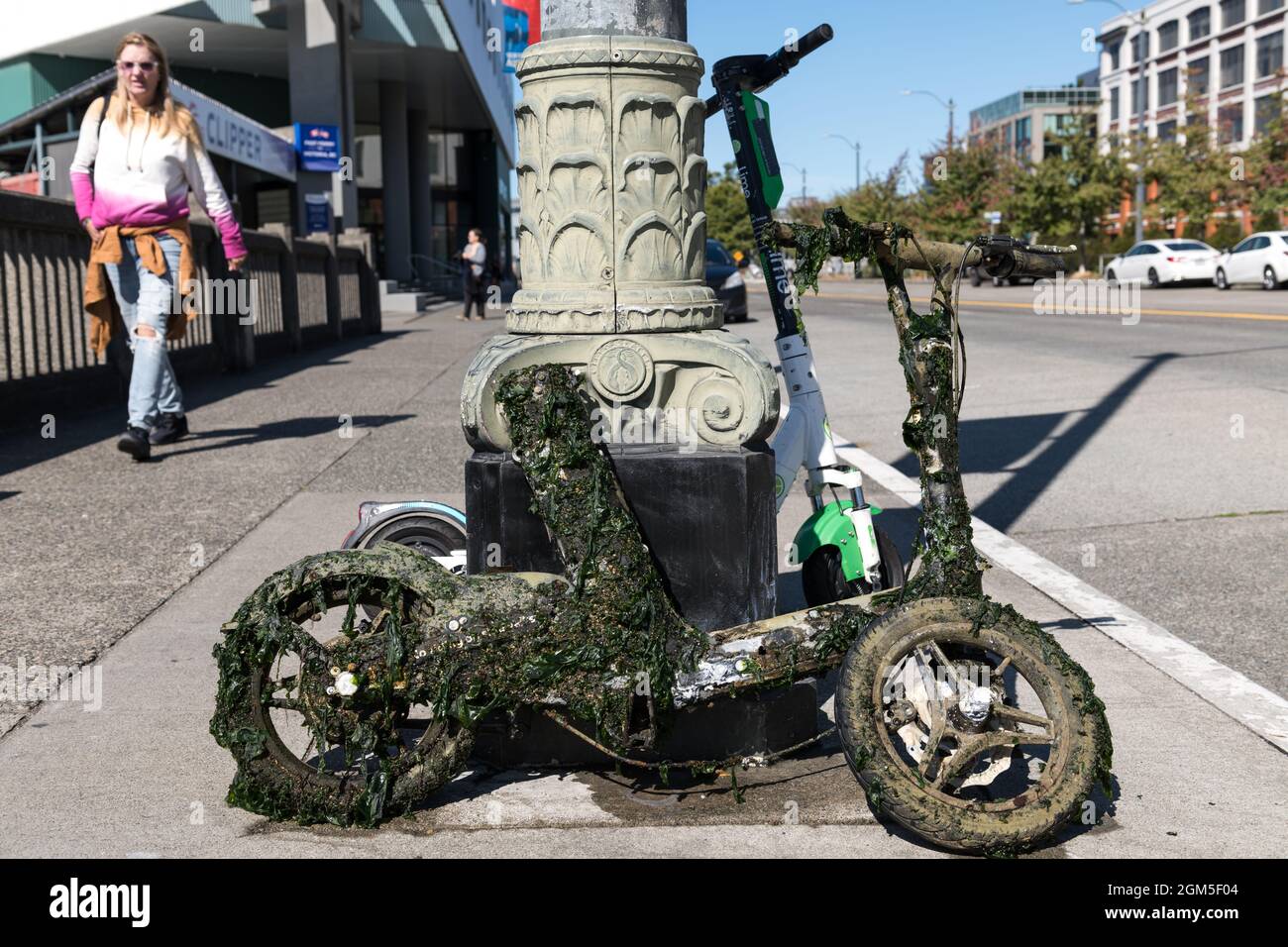 Seattle, USA. 16 Sep, 2021. Wheels EV bike fished out of Elliott Bay ...