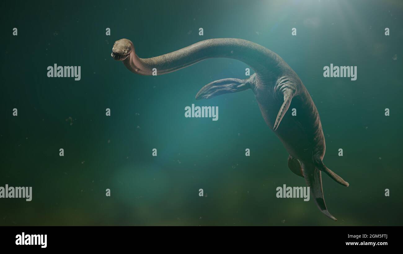 Plesiosaur long necked hi-res stock photography and images - Alamy