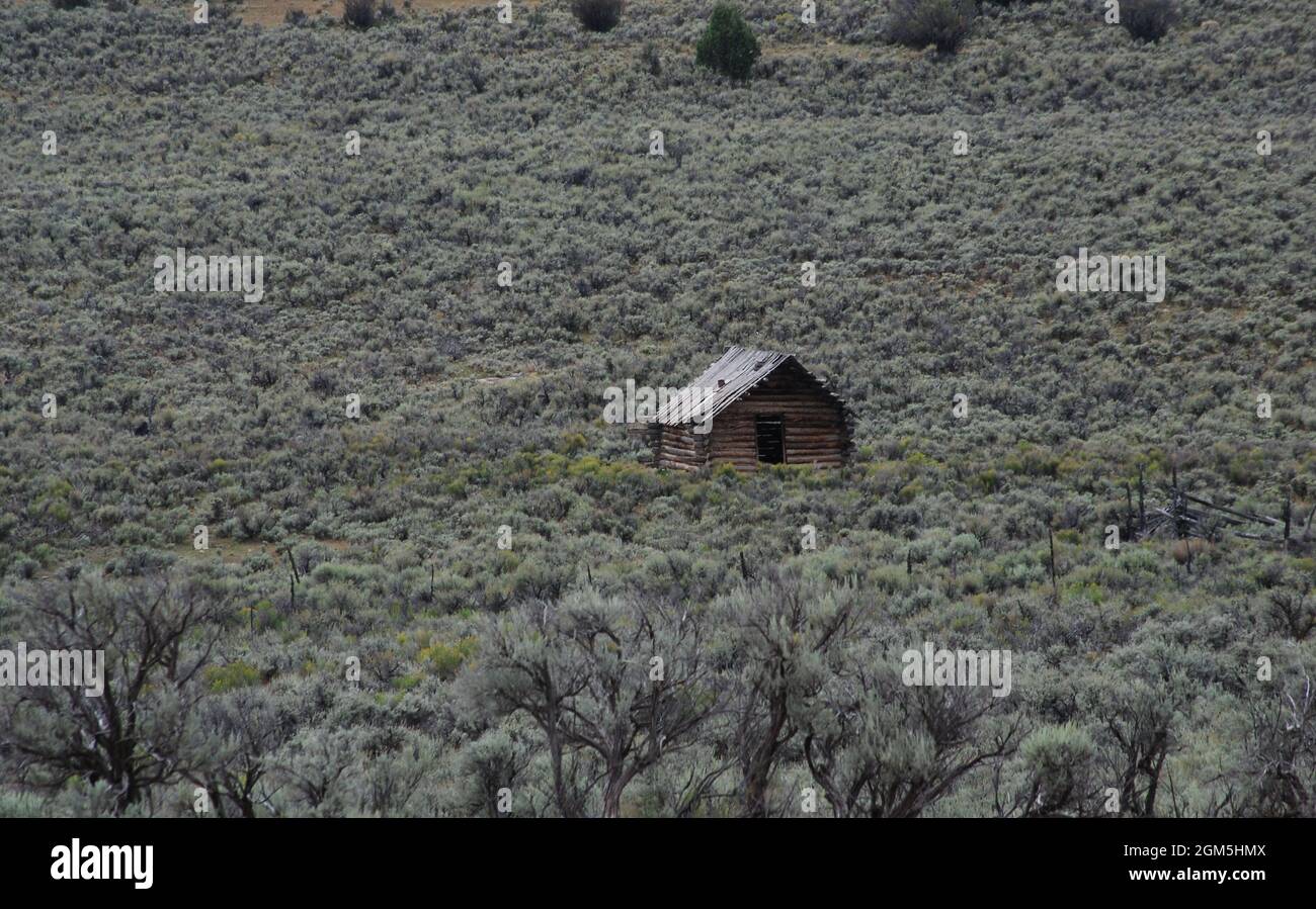 The Old Keep Out Cabin Stock Photo - Alamy