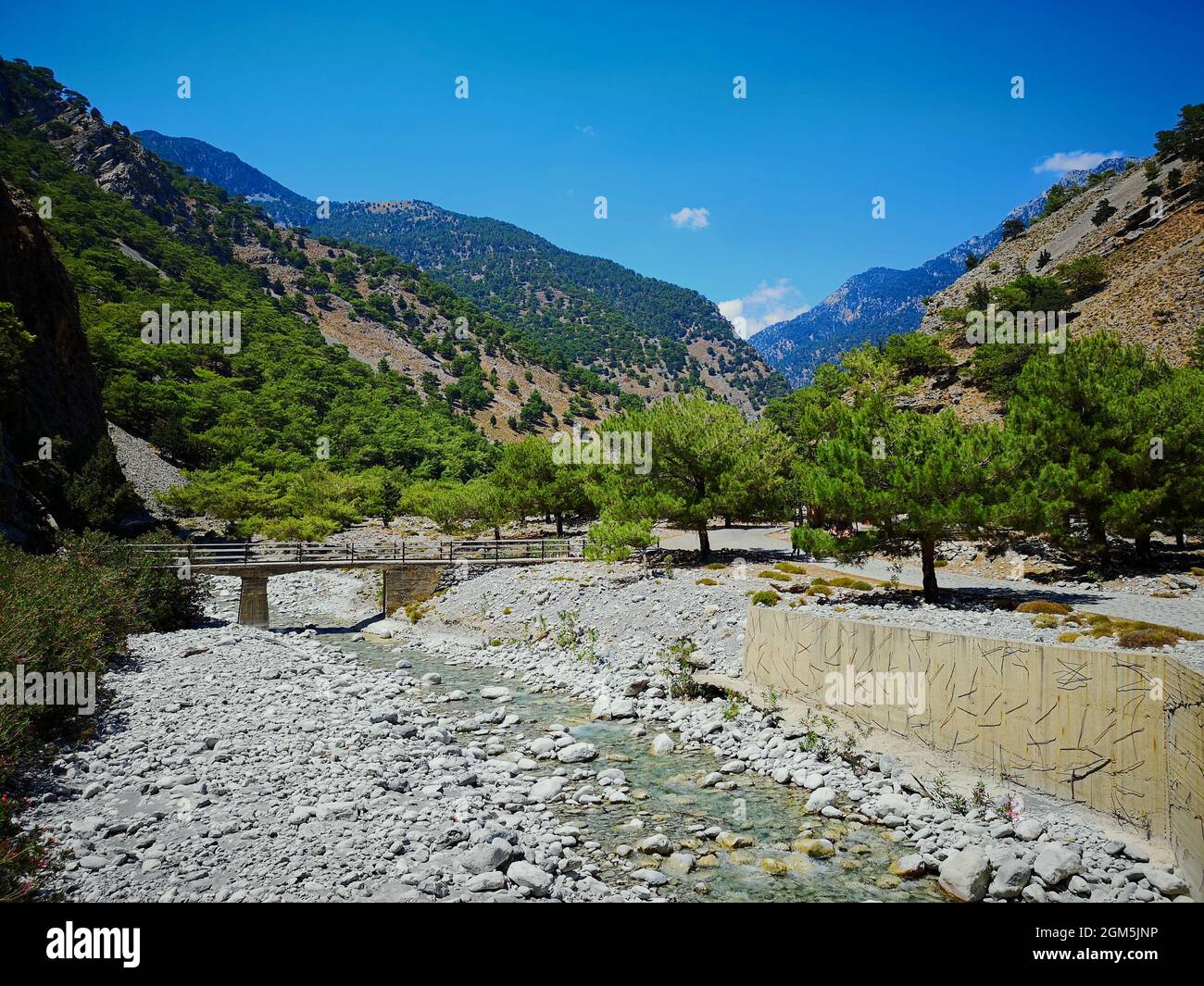 Bridge that goes over a thin water stream surrounded by forest ...