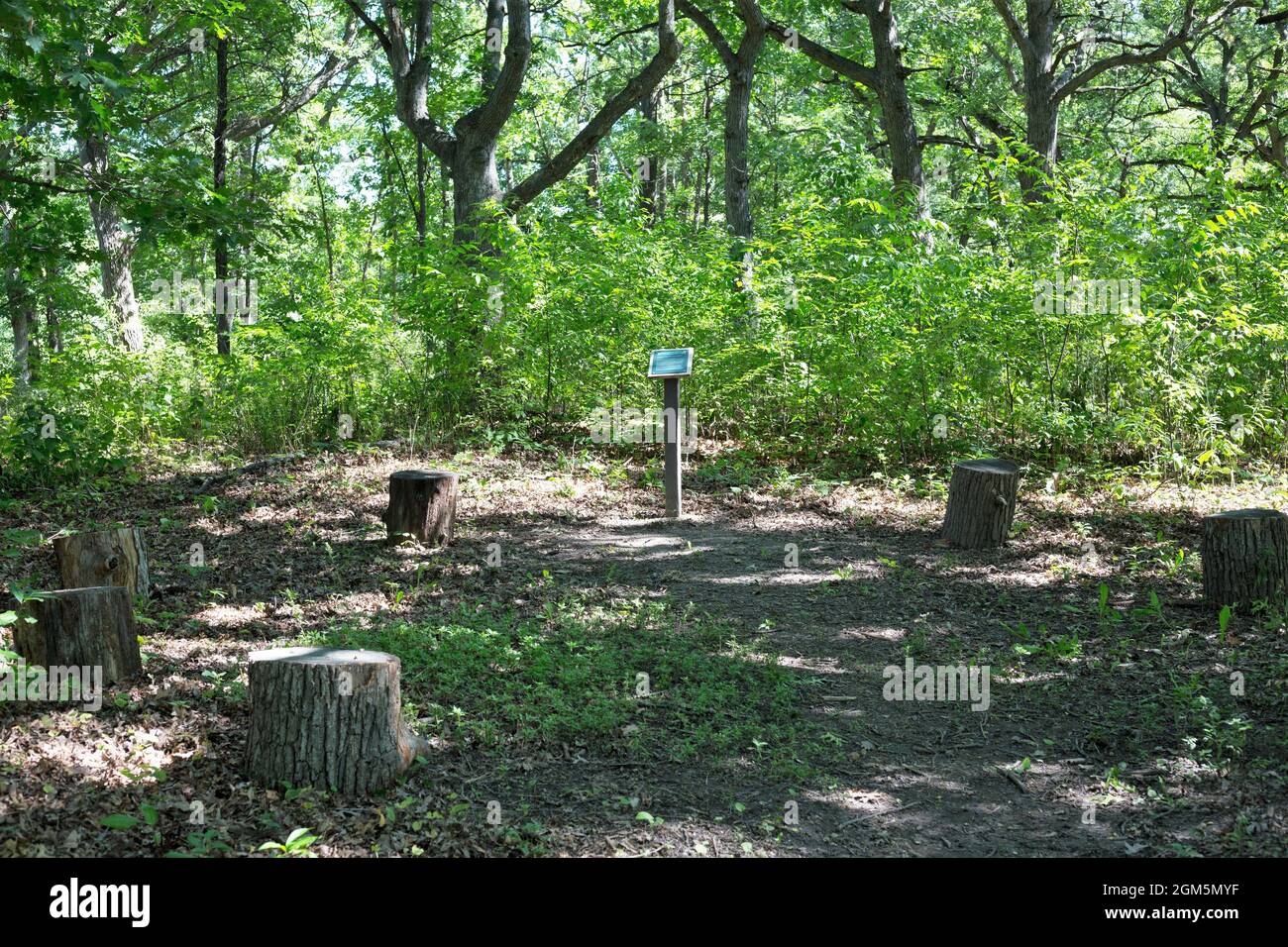 Forest Bathing trail, at Silverwood Park in St. Anthony, Minnesota ...