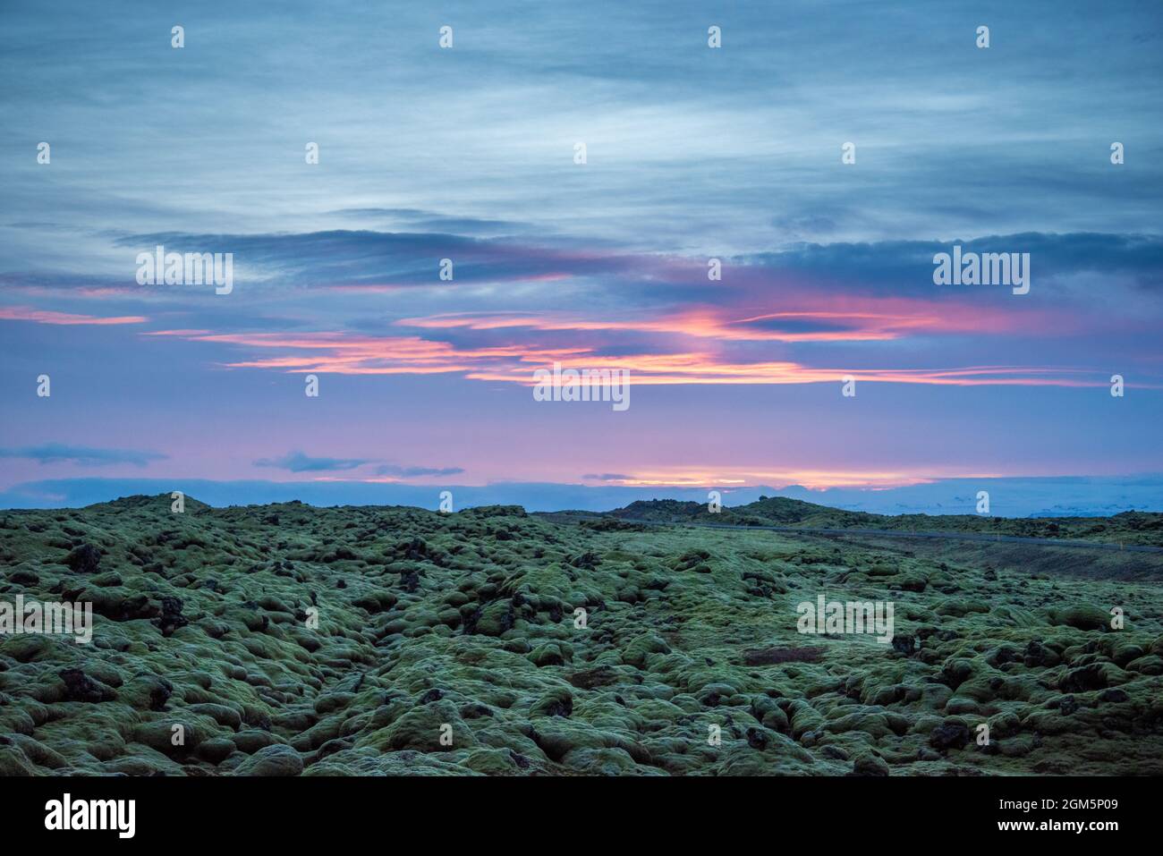 Icelandic landscape photo at sunset with volcanic rock field covered in ...