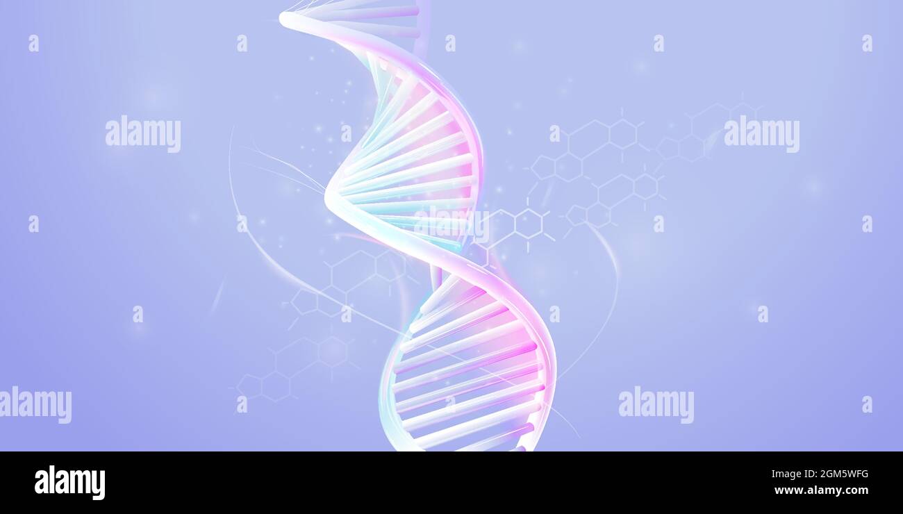 DNA double helix model on a pale violet background Stock Vector Image ...