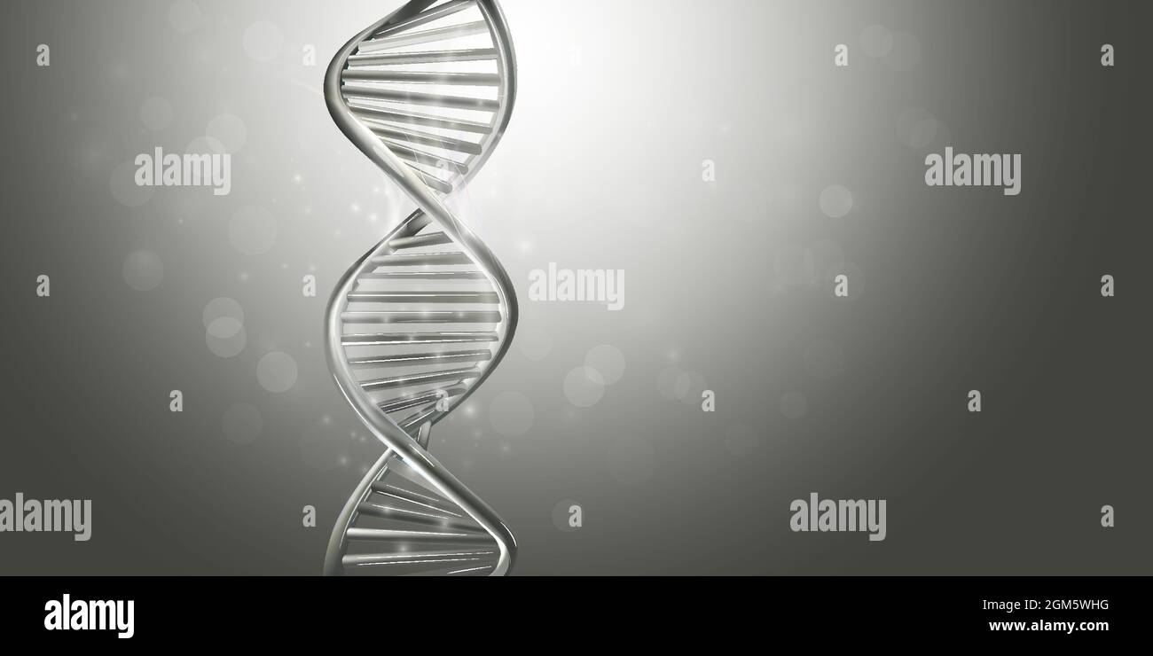Double helix dna molecular model Stock Vector Images - Alamy