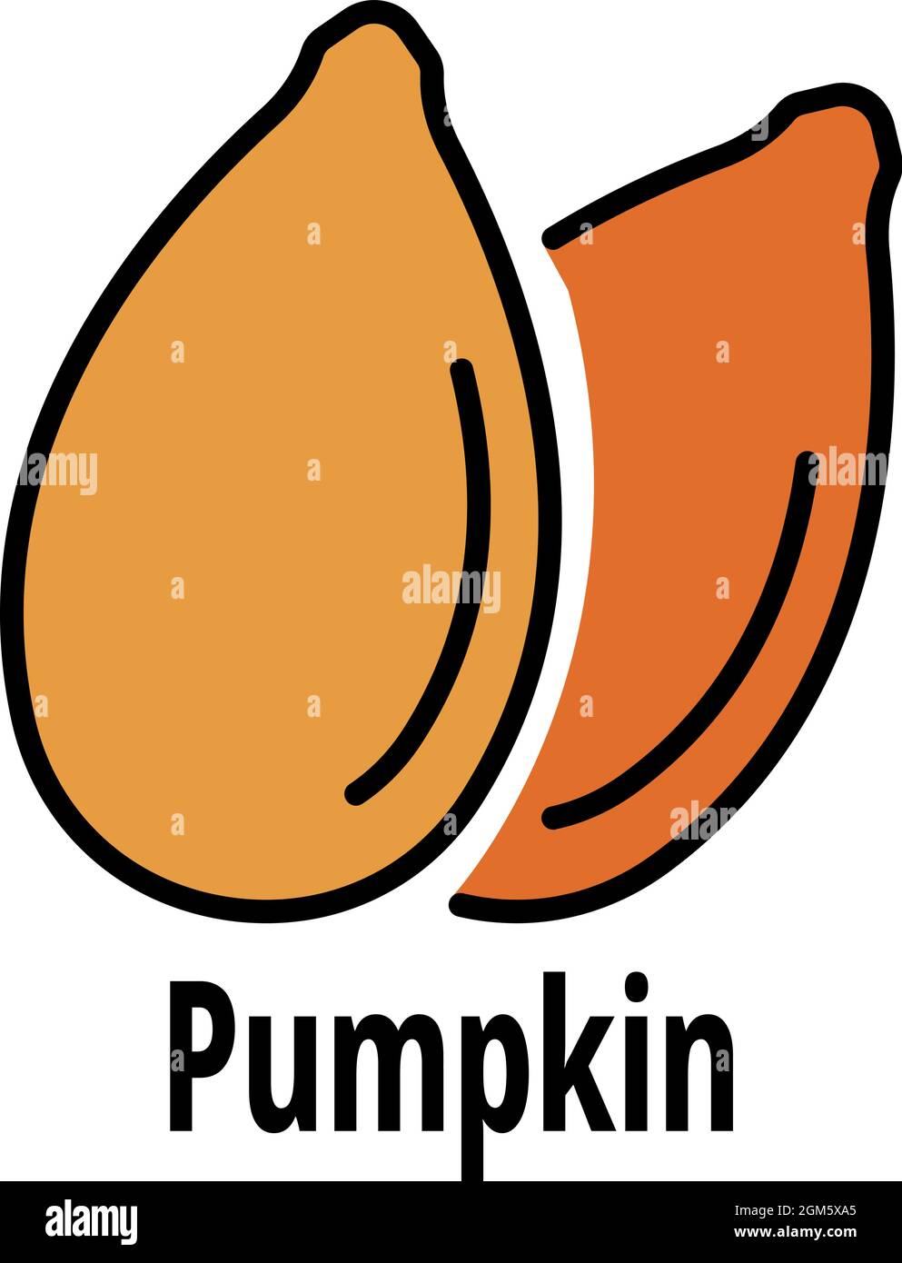 Pumpkin seed icon. Outline pumpkin seed vector icon color flat isolated ...