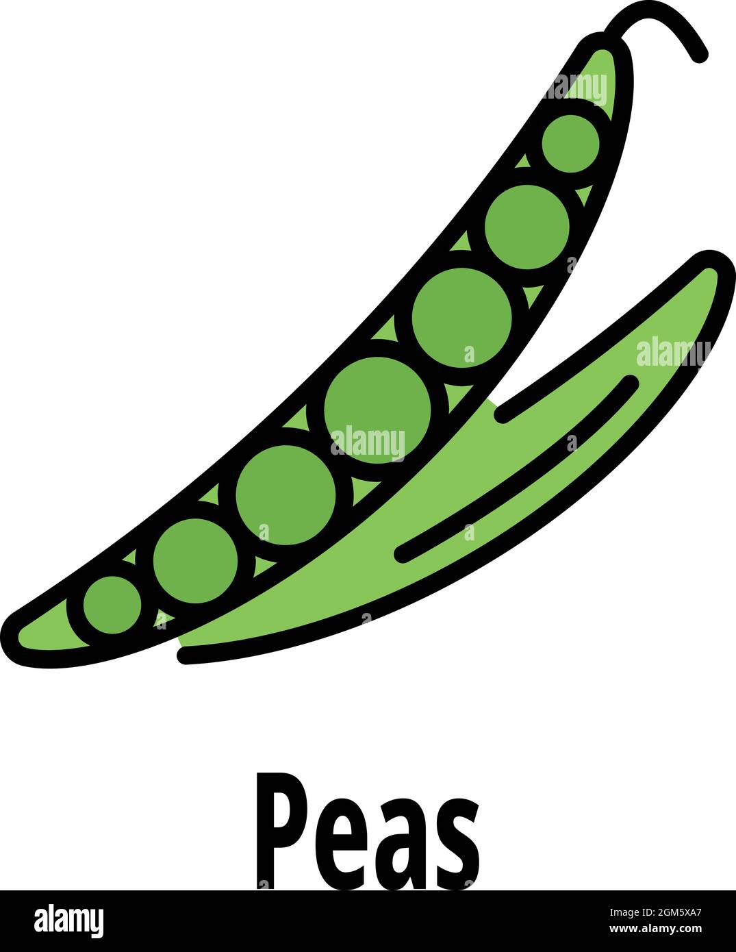 Peas icon. Outline peas vector icon color flat isolated on white Stock ...