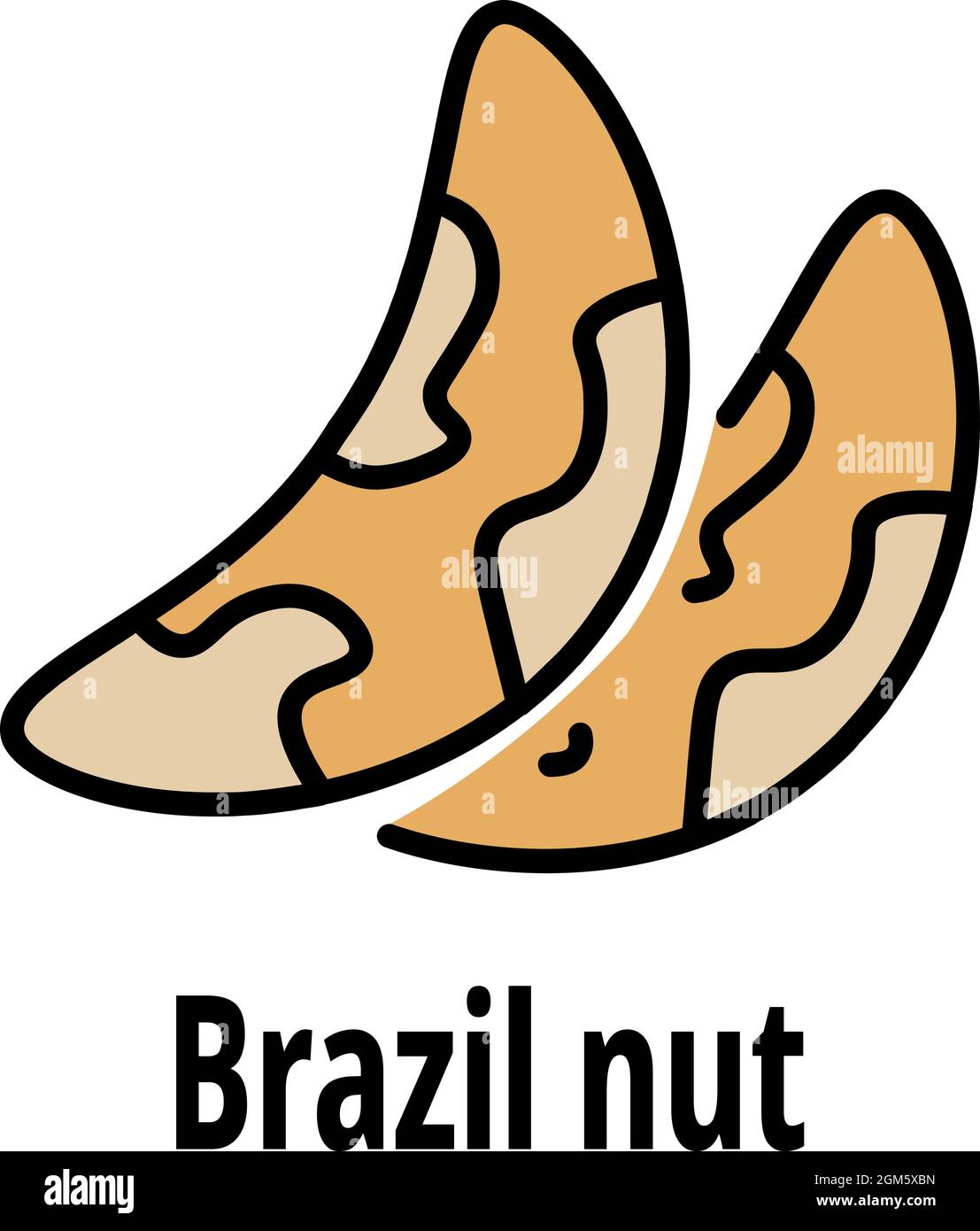 Brazil nut icon. Outline brazil nut vector icon color flat isolated on ...