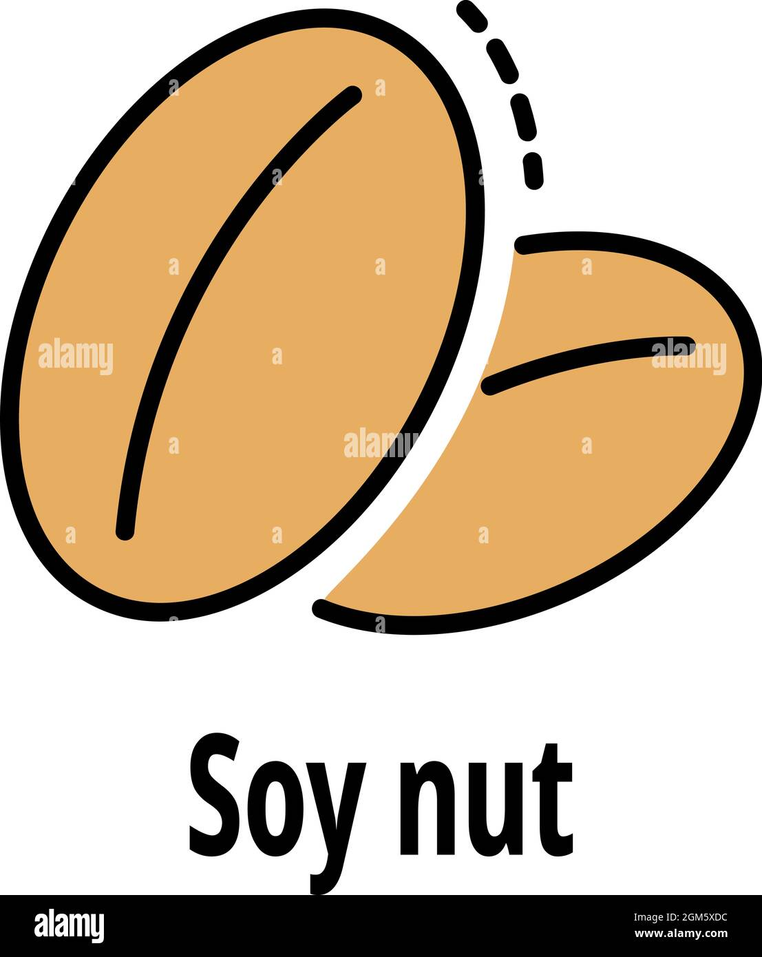 White haricot bean grains Stock Vector Images - Alamy