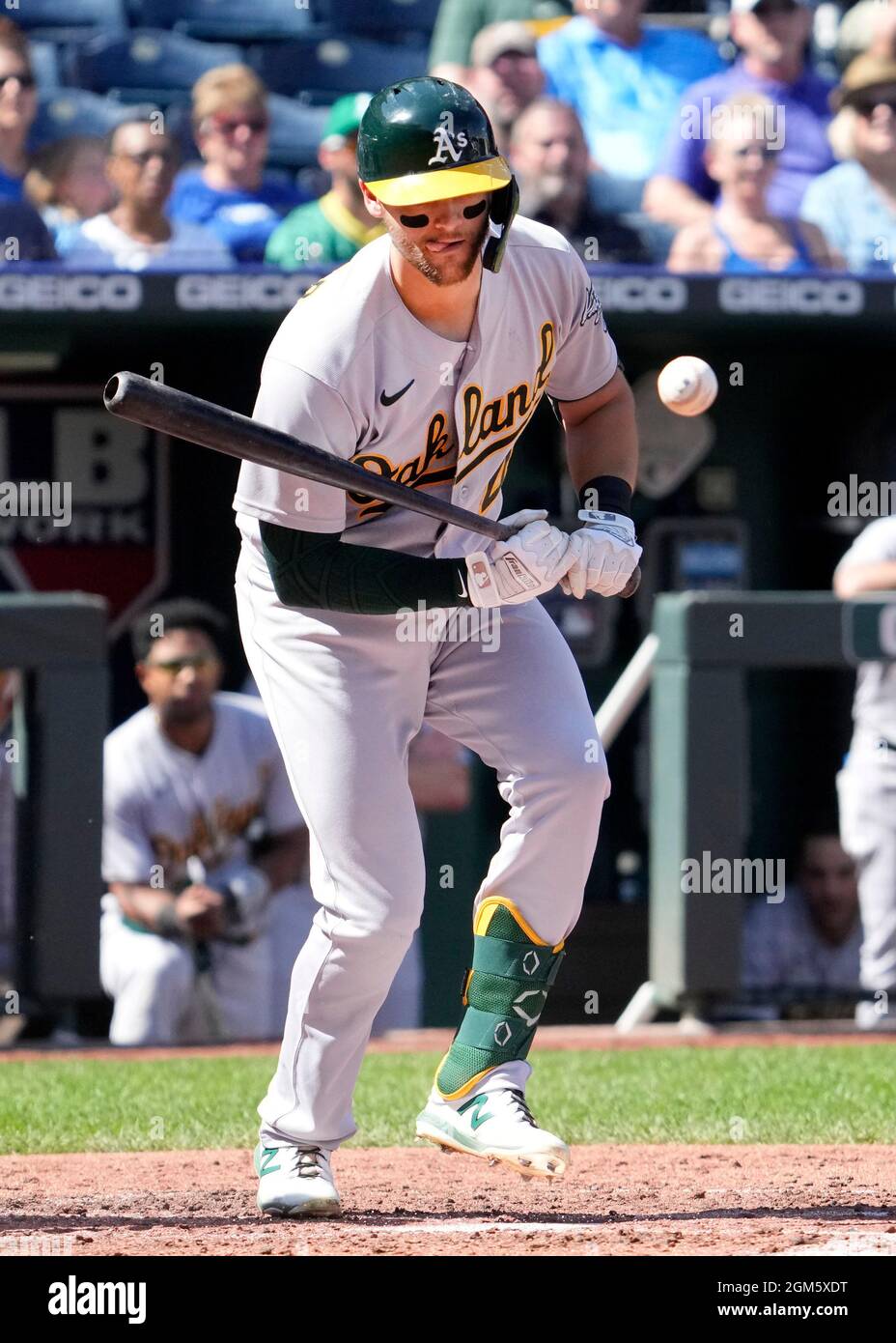 Kansas City, MO, USA. 16th Sep, 2021. Oakland Athletics Chad Pinder (4 ...