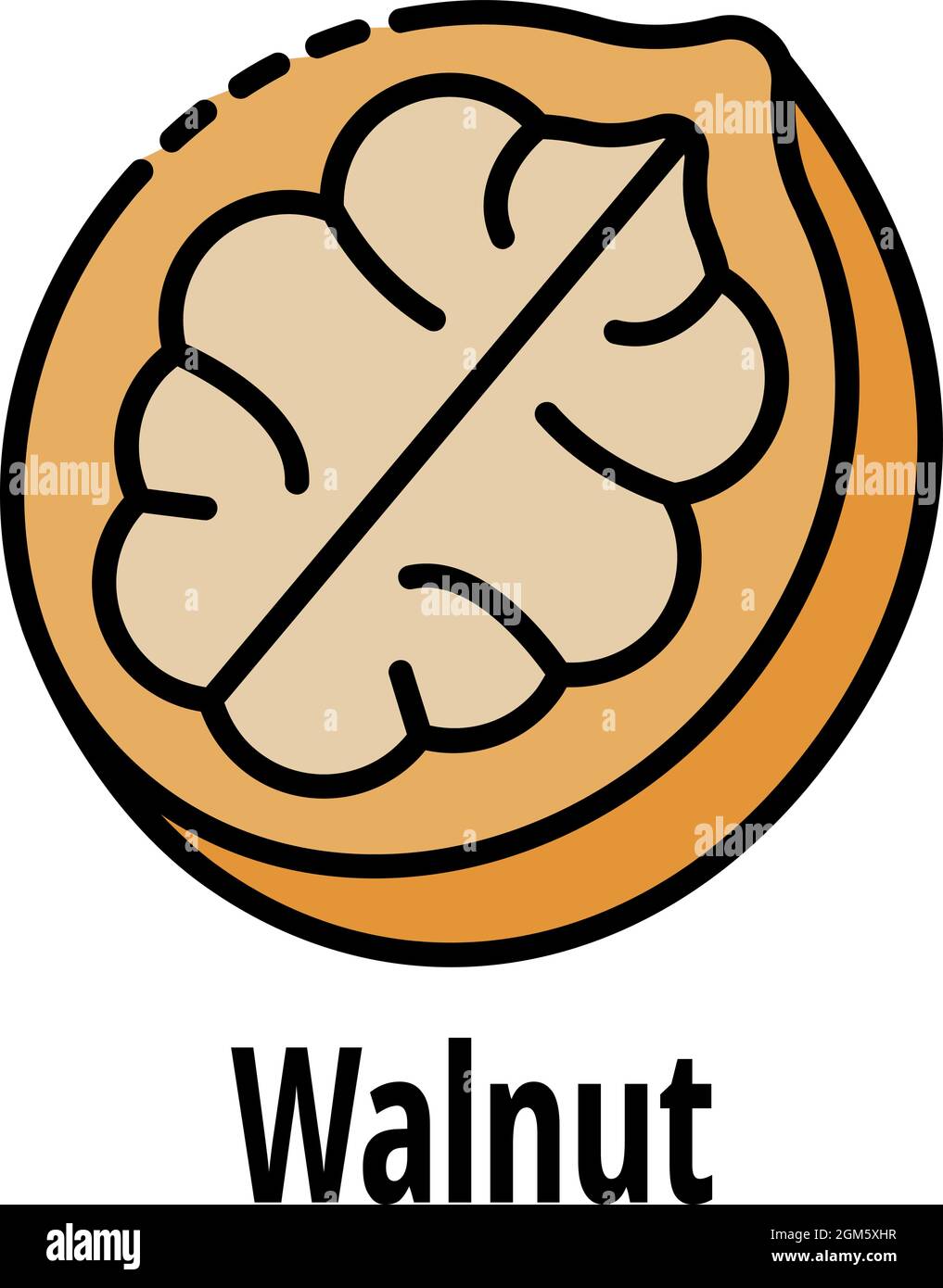 Walnut icon. Outline walnut vector icon color flat isolated on white ...