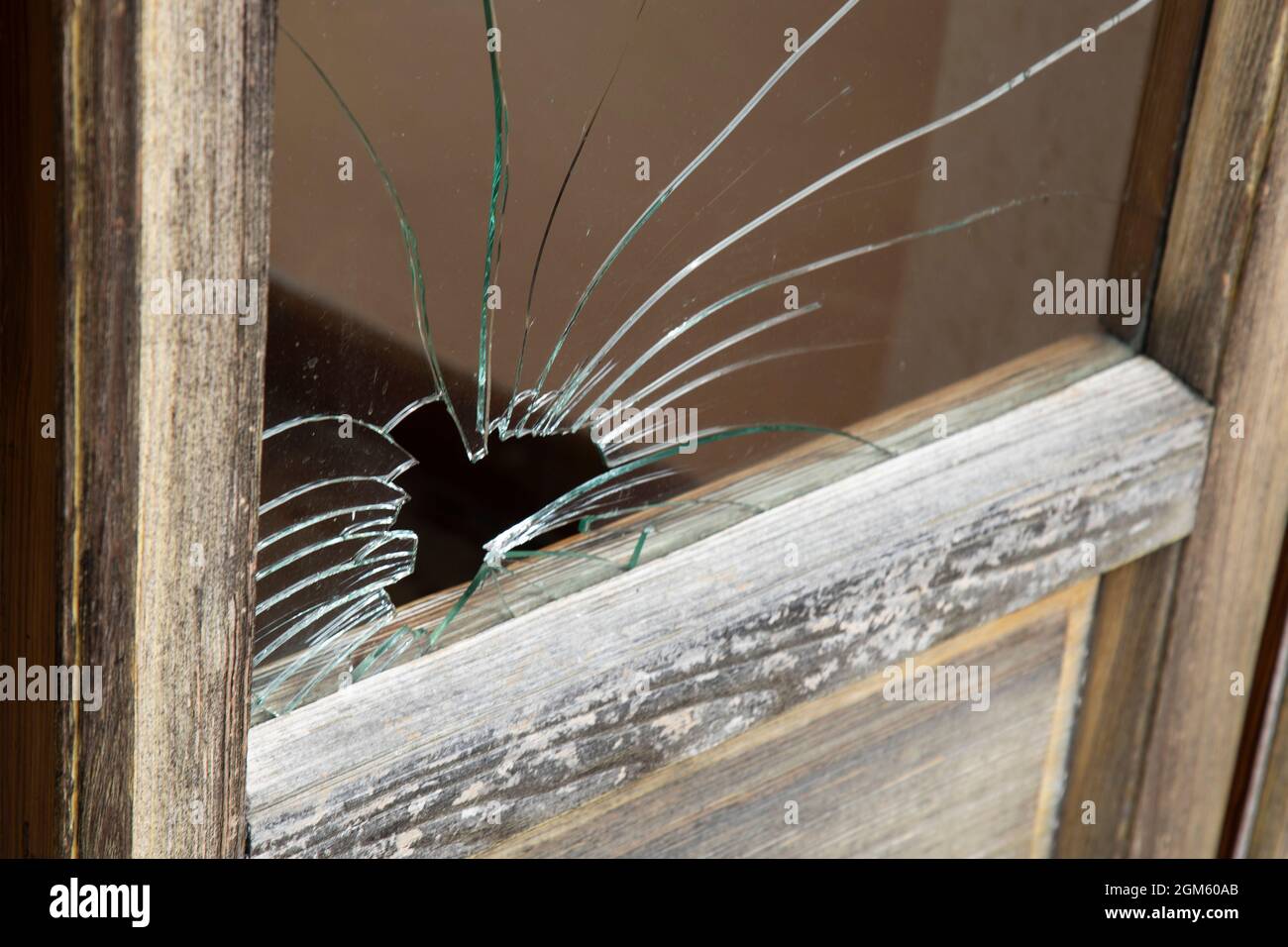 Intruding hi-res stock photography and images - Alamy