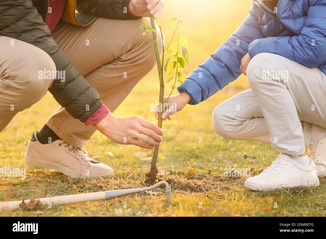 Father with little son planting tree outdoors Stock Photo - Alamy