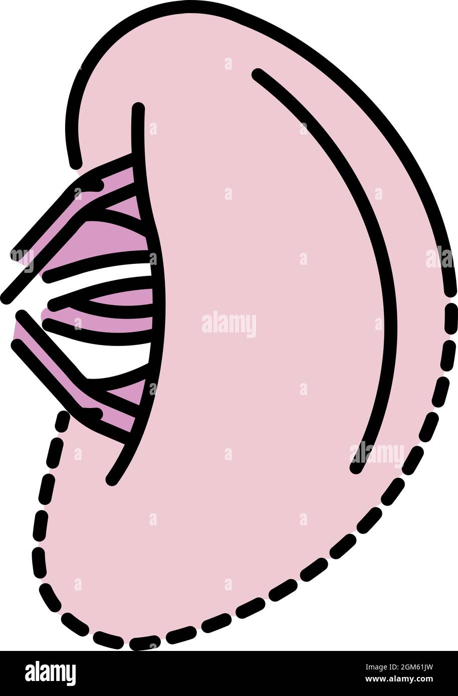 Spleen Drawing With Color