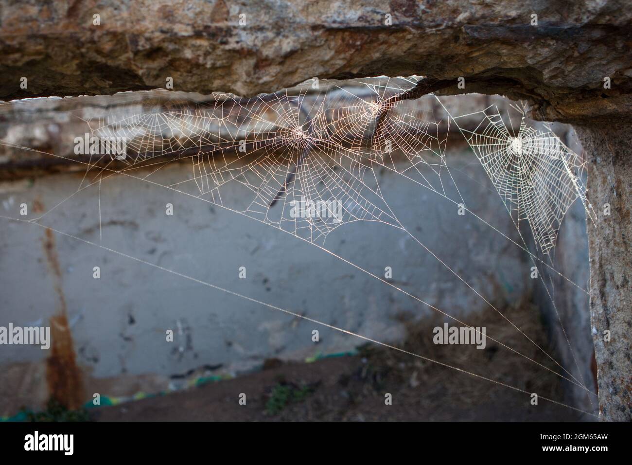 Spider web spread across old iron structure Stock Photo - Alamy