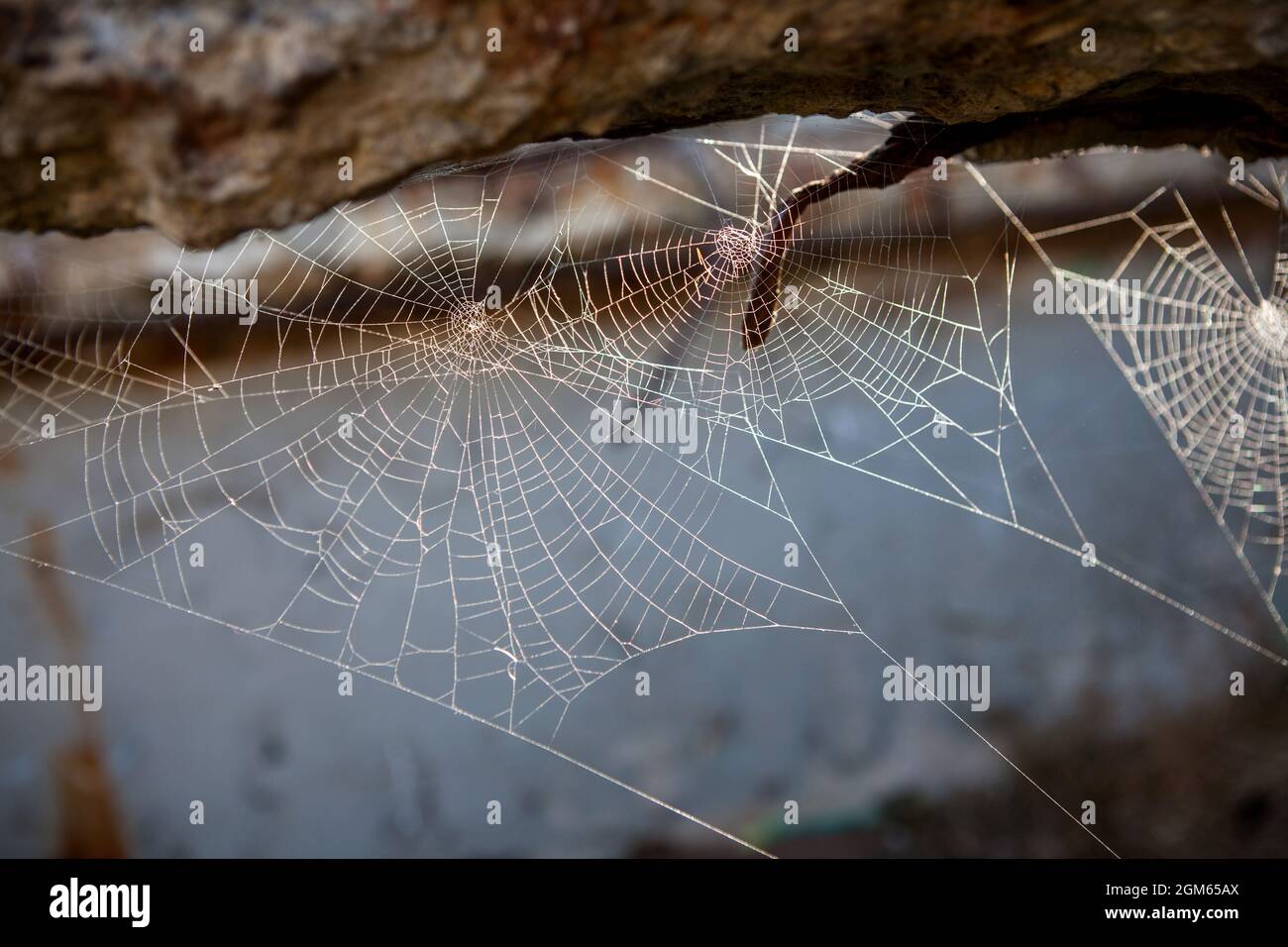 Spider web spread across old iron structure Stock Photo - Alamy