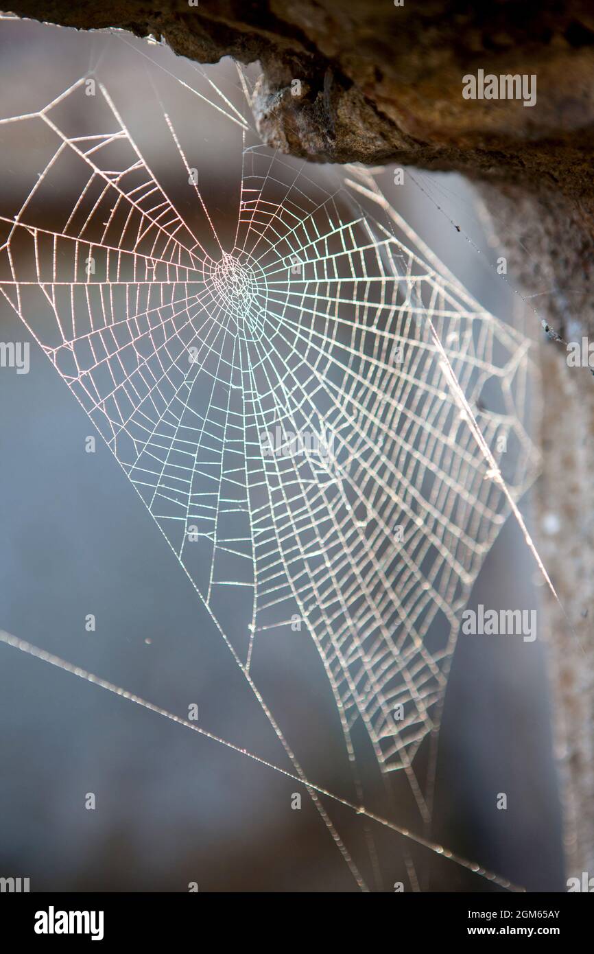 Spider web spread across old iron structure Stock Photo - Alamy