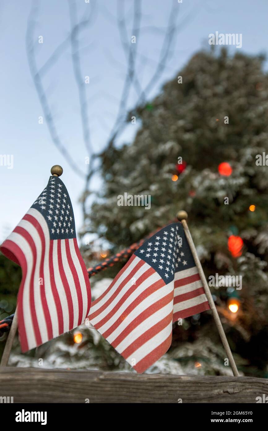 American flag tree hi-res stock photography and images - Alamy