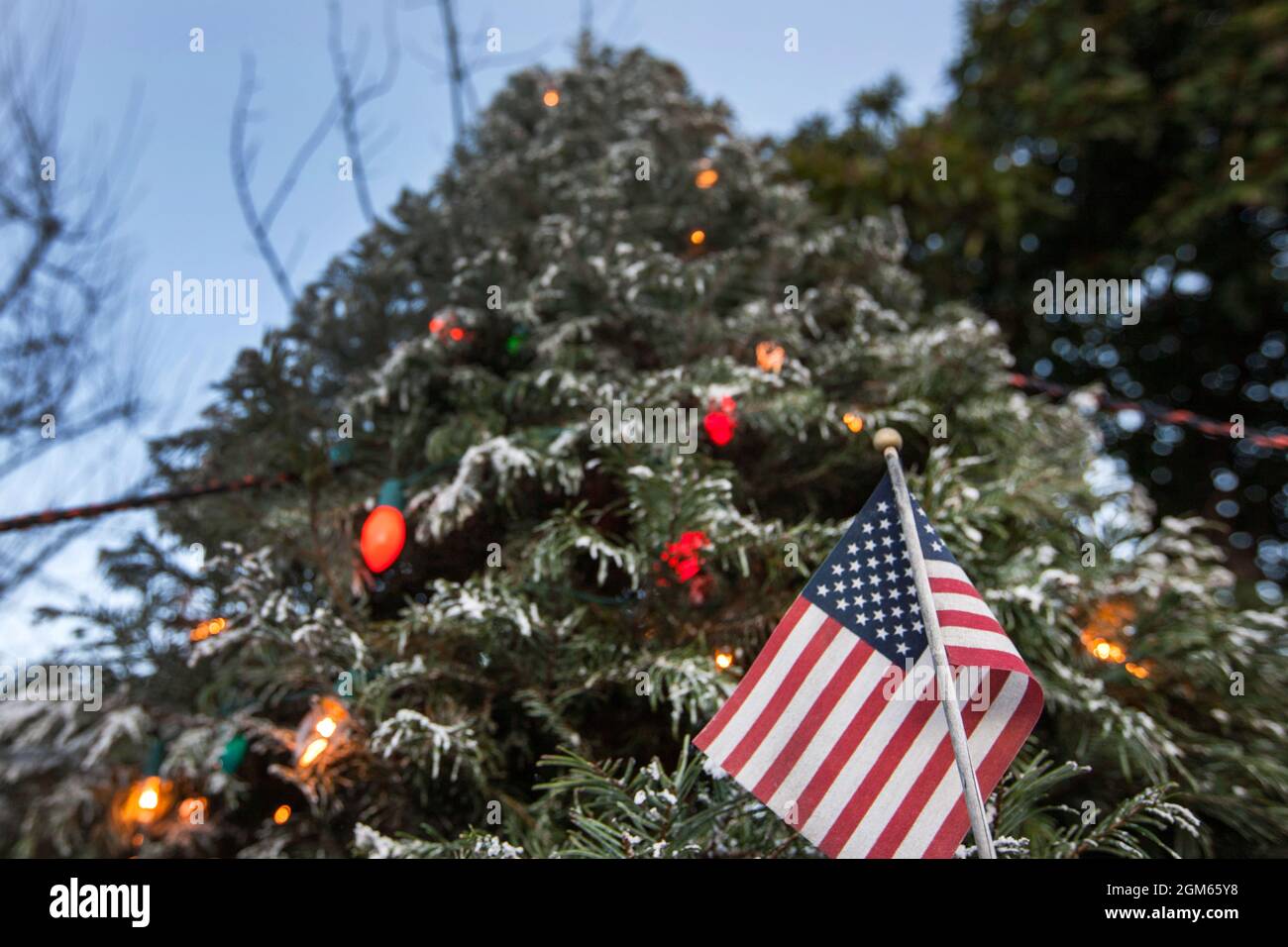 Tree flag hi-res stock photography and images - Alamy