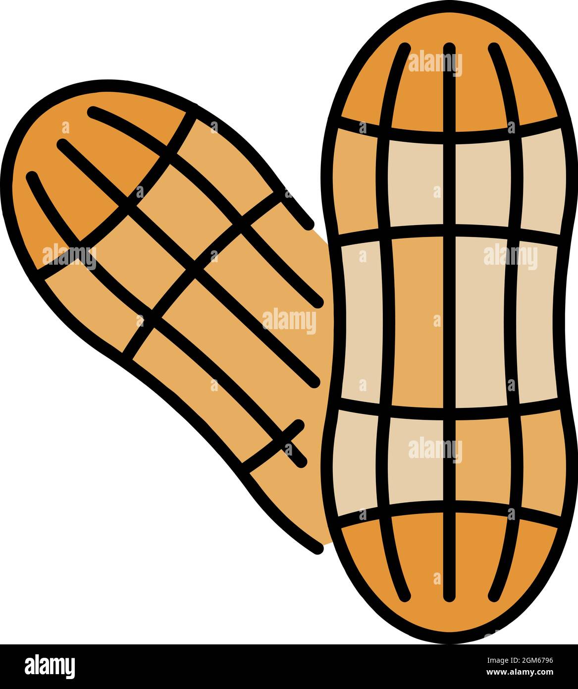 Peanut in shell icon. Outline peanut in shell vector icon color flat ...